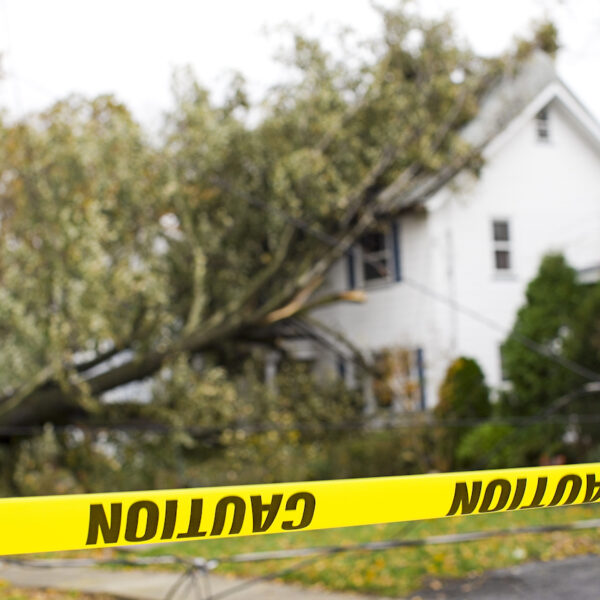 Update your natural disaster emergency response plan