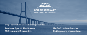 Bridge Specialty Group introduces Bridge Specialty Insurance Brokerage ...