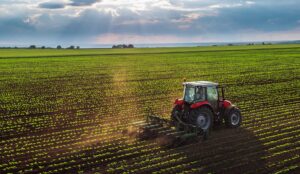 Bridge Specialty Group | Insurance Solutions