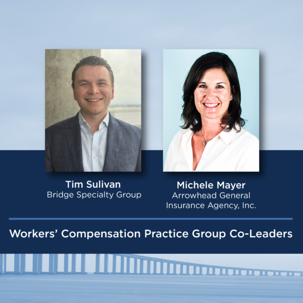 Bridge Specialty Group completes the acquisition of NBS Insurance ...